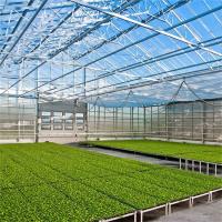 China Commercial Glass Multi Span Greenhouse Agricultural Plants Cultivation for sale