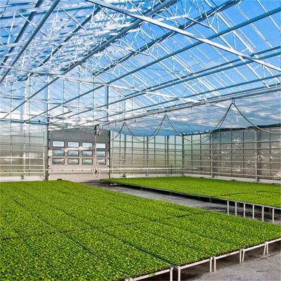 China Commercial Glass Multi Span Greenhouse Agricultural Plants Cultivation for sale