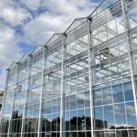 China Venlo Automated Plant Hydroponic Tempered Glass Greenhouse Multi Span Agricultural for sale