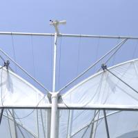 China Polyethylene Plastic Film Multi Span Greenhouse With Automatic Water Irrigation for sale