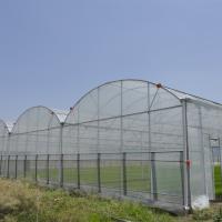 China Anti Insect Net Multi Span Hydroponic Tunnel Plastic Greenhouse For Vegetable for sale