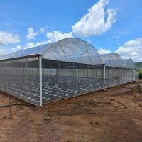 China Hydroponic Complete Thailand Multi Span Greenhouse Side Ventilation Industrial for sale