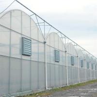 China Round Tunnel Plastic Sheet Hydroponic Multi Span Greenhouse For Flowers Planting for sale