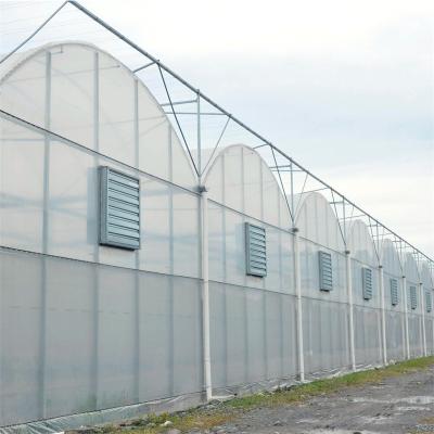 China Round Tunnel Plastic Sheet Hydroponic Multi Span Greenhouse For Flowers Planting for sale