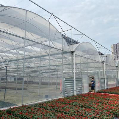 China Irrigation System Side Vent Multi Span Greenhouse With Automatic Watering System for sale