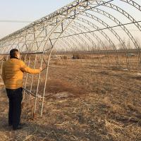 China Double Arches Double Film Agricultural Growing 10X50m Single Span Greenhouse for sale