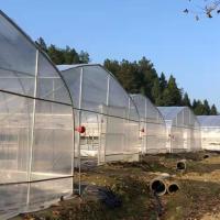China High Tunnel Plastic Film Single-Span Greenhouse Poly Tunnel 8m For Vegetable for sale