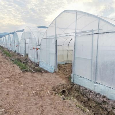 China Commercial Climate Control Cooling System Single Tunnel Greenhouse For Agriculture Farming for sale