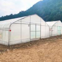 China Wholesale Greenhouse China Factory Price Manufacture Singlespan Hydroponic agriculture Greenhouse for sale