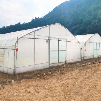 China Wholesale Greenhouse China Factory Price Manufacture Singlespan Hydroponic agriculture Greenhouse for sale