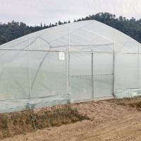 China Hydroponic System Steel Frame Arch Plastic Film Poly Tunnel Greenhouse For Tomato for sale