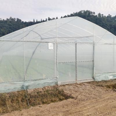 China Hydroponic System Steel Frame Arch Plastic Film Poly Tunnel Greenhouse For Tomato for sale
