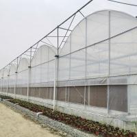 China Tomato Commercial Hydroponic System Multispan Greenhouse With Climate Control Systems for sale