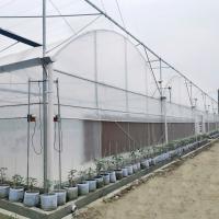 China 0.2mm film Standard Multi Span Greenhouse for Vegetable Fruits Flowers for sale