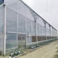 China Large Commercial Poly Film Arch Tunnel Multispan Type Tomato Hydroponics Greenhouse for sale