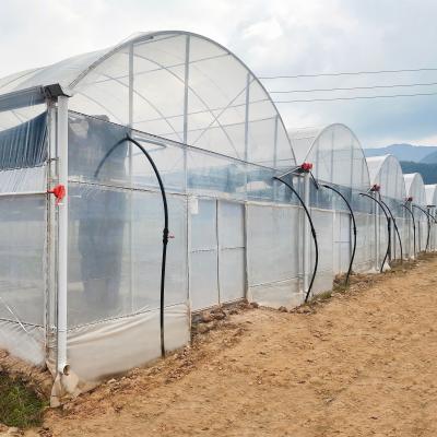 China Turnkey Projects Installed Commercial Hydroponic Plastic Film Green House Multi-span Agricultural Greenhouses for sale