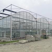 China Hydroponics Tomato Cucumber Flower Film Arch Automatic Multispan Glass Greenhouse for sale
