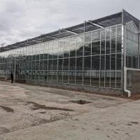 China Multi-span Agricultural Greenhouses Venlo Tempered Glass Greenhouse With Hydroponic Growing System for sale