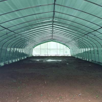 China Double Layer Single Span Greenhouse Black Mesh Mushroom Cultivation In Greenhouses for sale