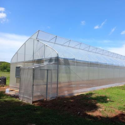 China high performance High Tunnel Sawtooth Greenhouse Agricultural ISO9001 for sale