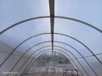 China Customizable UV Protected Polycarbonate Drying Greenhouse with Easy Assembly and Adjustable Span for sale