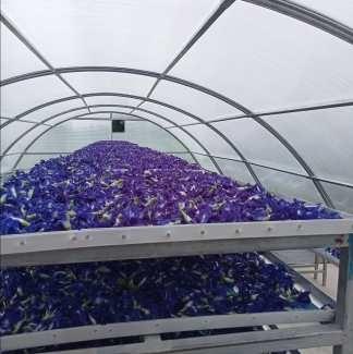 China Hot Galvanized Steel Frame Polycarbonate Solar Dryer Greenhouse with Stable Structure Inside Outside Shading System for sale