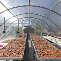 China Customized UV Protected Polycarbonate Solar Dryer Greenhouse with Inside Outside Shading System for sale