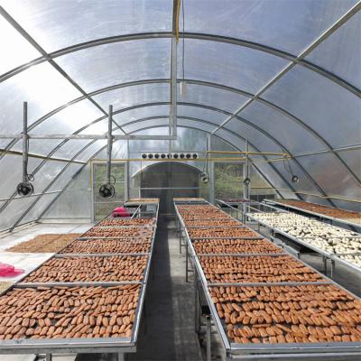 China Customized UV Protected Polycarbonate Solar Dryer Greenhouse with Inside Outside Shading System for sale