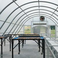 China Custom Polycarbonate Solar Drying Greenhouse with UV Protection for Plant and Food Drying for sale