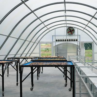 China Custom Polycarbonate Solar Drying Greenhouse with UV Protection for Plant and Food Drying for sale
