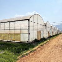 China Wind Resistant UV Net House Greenhouse Environmental Controller Multi-span Greenhouses for sale
