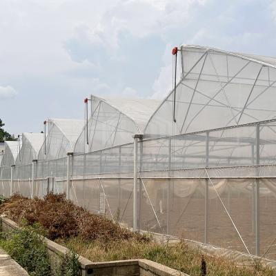 China Tropical Area Cooling Ventilation Control System Sawtooth Roof Multispan Poly Greenhouse for sale