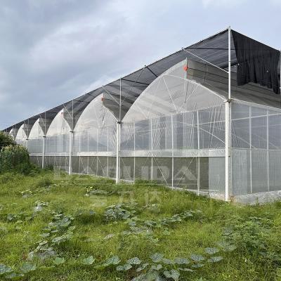 China Hot Dip Galvanized Steel Pipe Green House Hothouse Ventilated Plastic Sawtooth Multi-span Film Tropical Greenhouse for sale