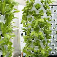 China Compact And Versatile Hydroponic Growing System For Saving-Space Storage Type for sale