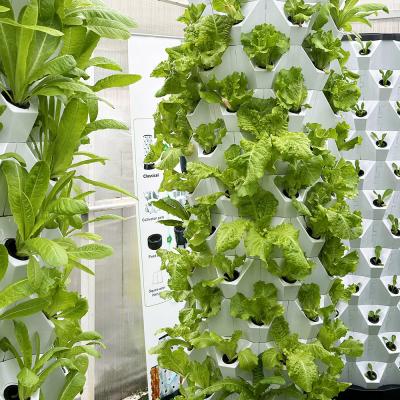 China Compact And Versatile Hydroponic Growing System For Saving-Space Storage Type for sale