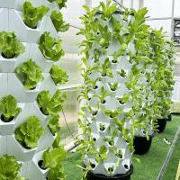 China Customize Your Layer Number Vertical Farming With Hydroponic Water Drip System for sale