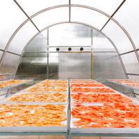 China Controlled Environment Drying Greenhouse With PC Board For Herb And Fruit Drying for sale