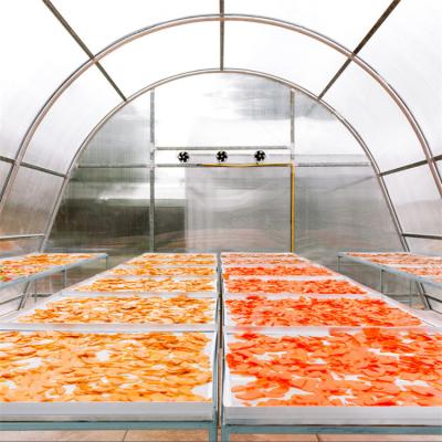 China Controlled Environment Drying Greenhouse With PC Board For Herb And Fruit Drying for sale