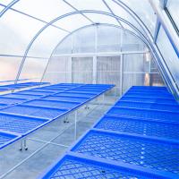 China Vegetable Drying in Stable and UV Protected PC Board Greenhouse with Optimal Ventilation for sale