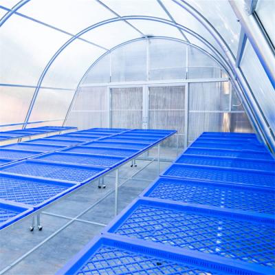 China Vegetable Drying in Stable and UV Protected PC Board Greenhouse with Optimal Ventilation for sale
