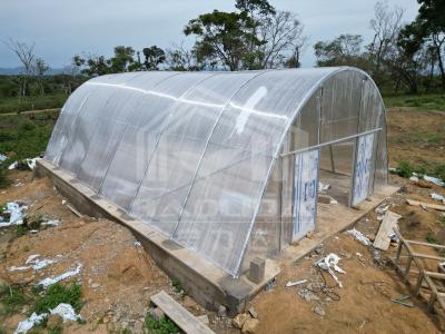 China Energy-Efficient Drying Greenhouse with Ventilation for Controlled Vegetable and Herb Drying for sale
