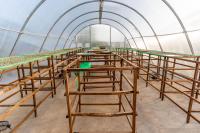 China Durable PC Board Drying Greenhouse with Advanced Ventilation for High-Yield Herb Drying for sale