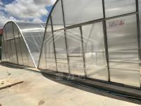 China Advanced Ventilation And PC Board Drying Greenhouse For Vegetables And Herb Preservation for sale