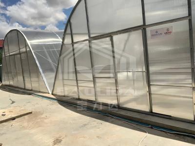China Advanced Ventilation And PC Board Drying Greenhouse For Vegetables And Herb Preservation for sale