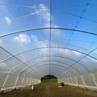 China 6x15m Multipurpose Tunnel Greenhouse With Superior Light Transmission for sale