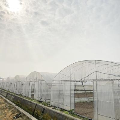 China Customized Agricultural Tunnel Greenhouse With PE Film Covering for sale