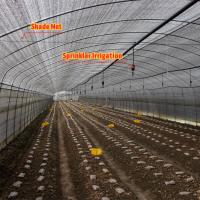 China Professional Fruit Mushroom Tunnel Greenhouse with Film and Shade Net Cover Material for sale