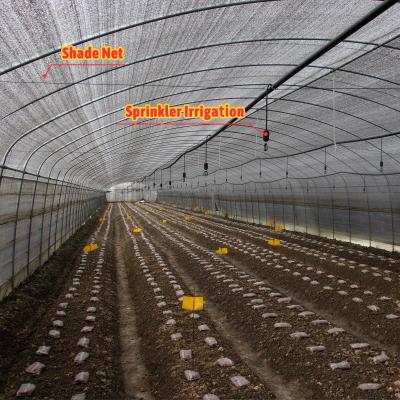 China Professional Fruit Mushroom Tunnel Greenhouse with Film and Shade Net Cover Material for sale