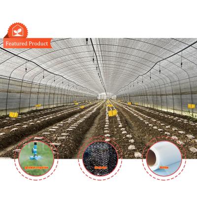 China Serre Gewachshaus Sklenik Serra Invernadero Greenhouse For Growing Vegetables for sale