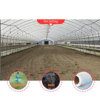 China Customizable Mushroom Greenhouse with Manual or Electric Roll Up Ventilation for sale